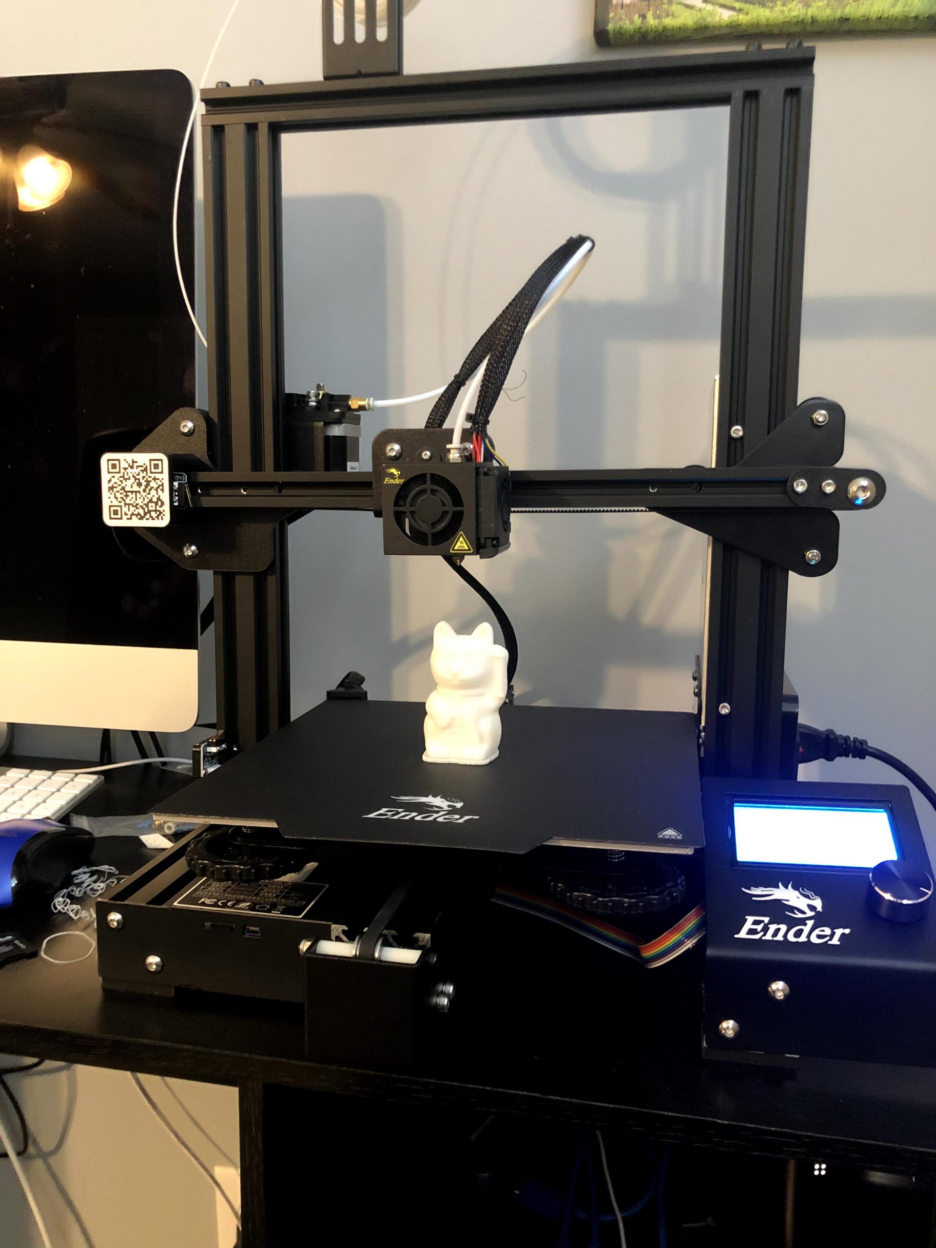 Cat 3D Prints – Perfuzion