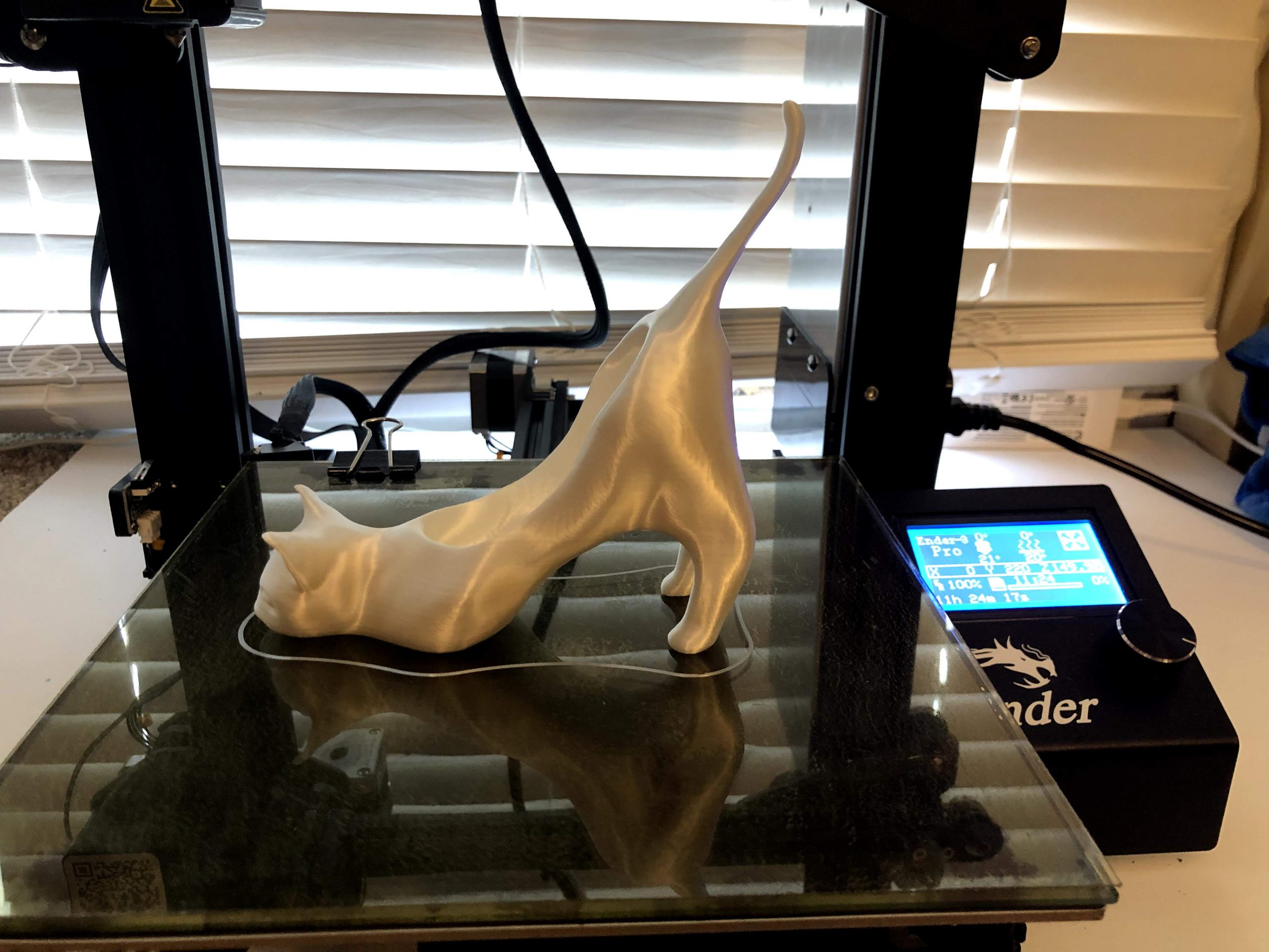 Cat 3D Prints – Perfuzion