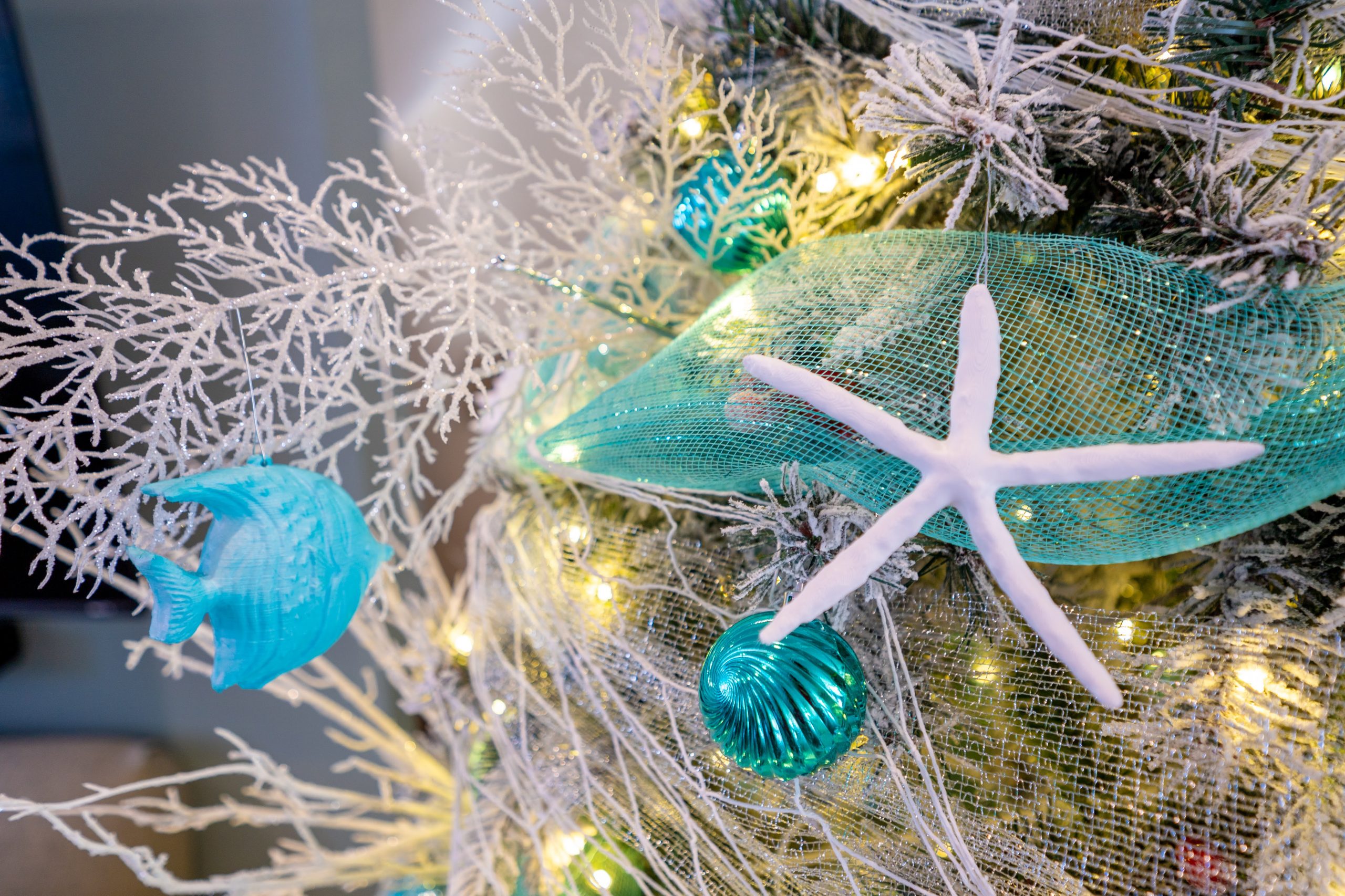 🌴 Tropical Christmas – Seas and Greetings – Perfuzion