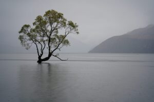 Queenstown, New Zealand and nearby towns Arrowtown and Wanaka – Perfuzion
