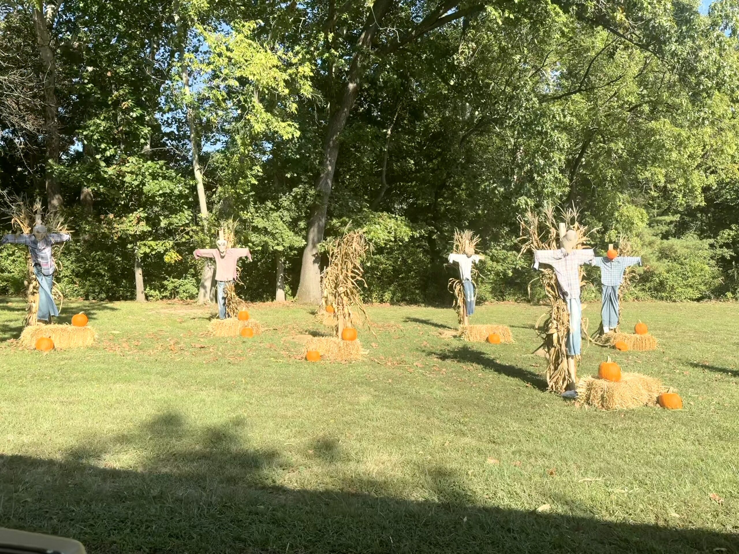 Grants-Farm-Fall-Fest-2025-IMG_6649 – Perfuzion