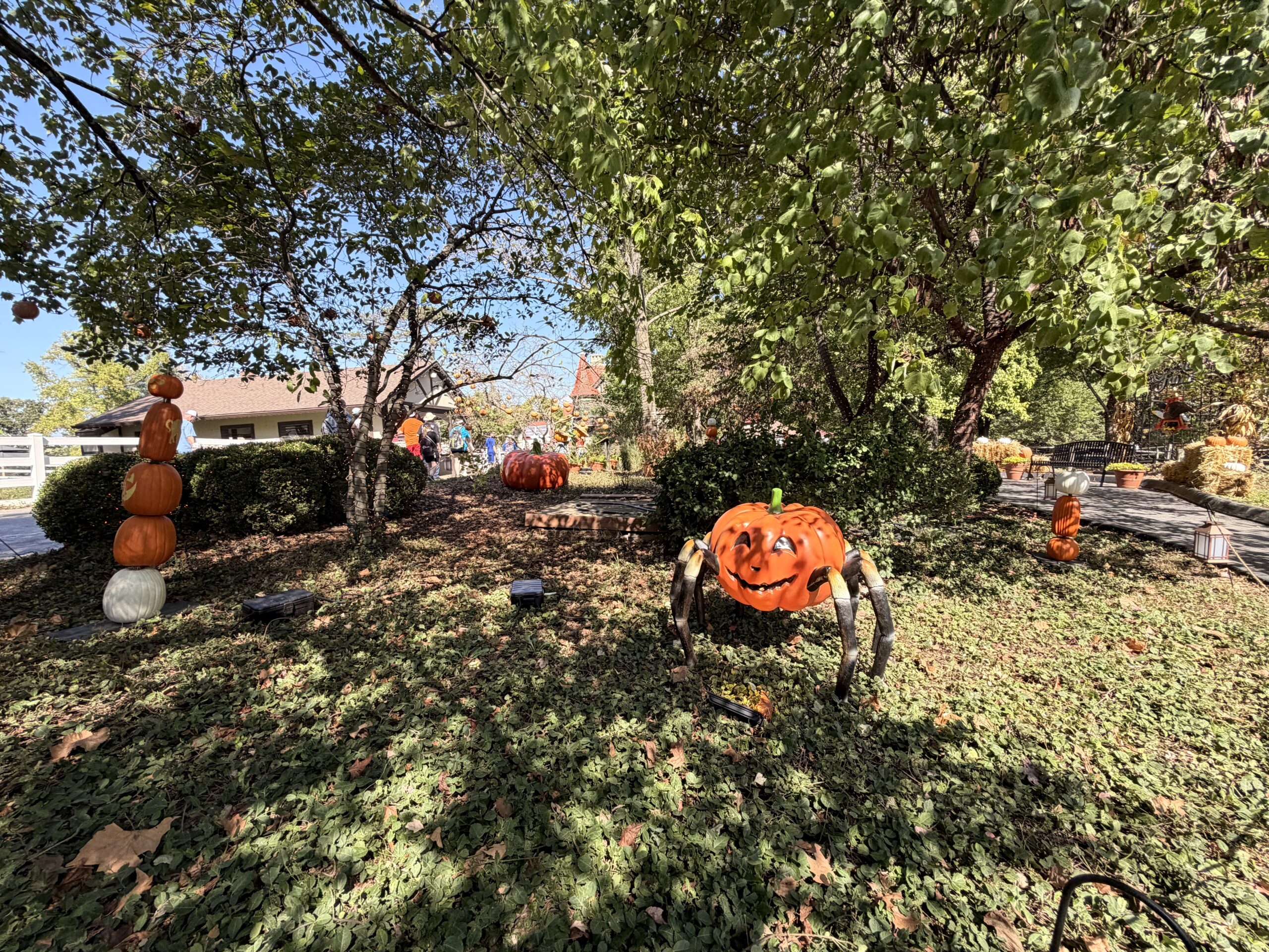 Grants-Farm-Fall-Fest-2025-IMG_6751 – Perfuzion