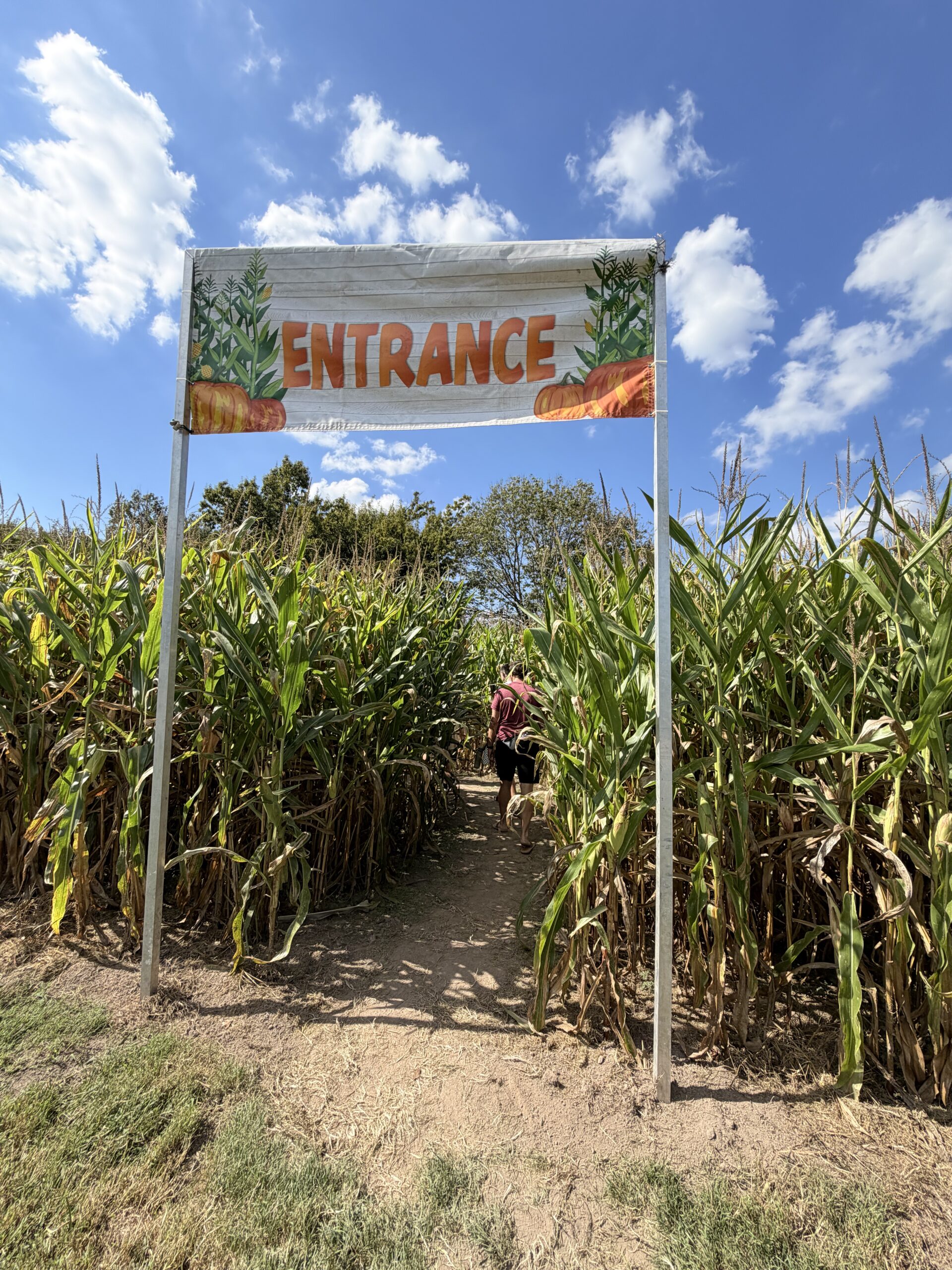 Grants-Farm-Fall-Fest-2025-IMG_6773 – Perfuzion